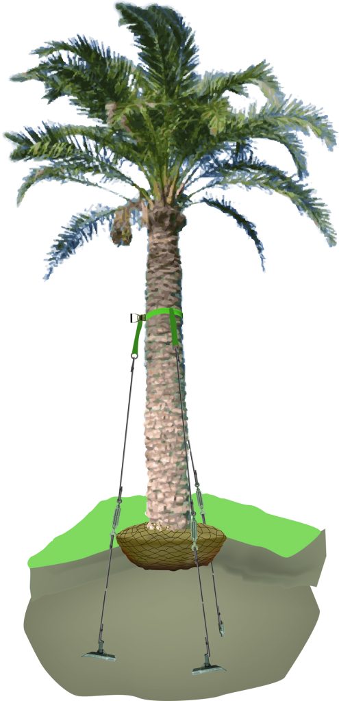 TREE GUYING SYSTEM DTS - Landscape Depot