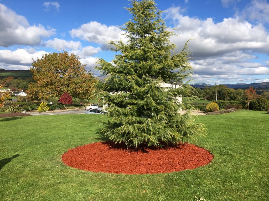 Coloured Wood Mulch - Landscape Depot