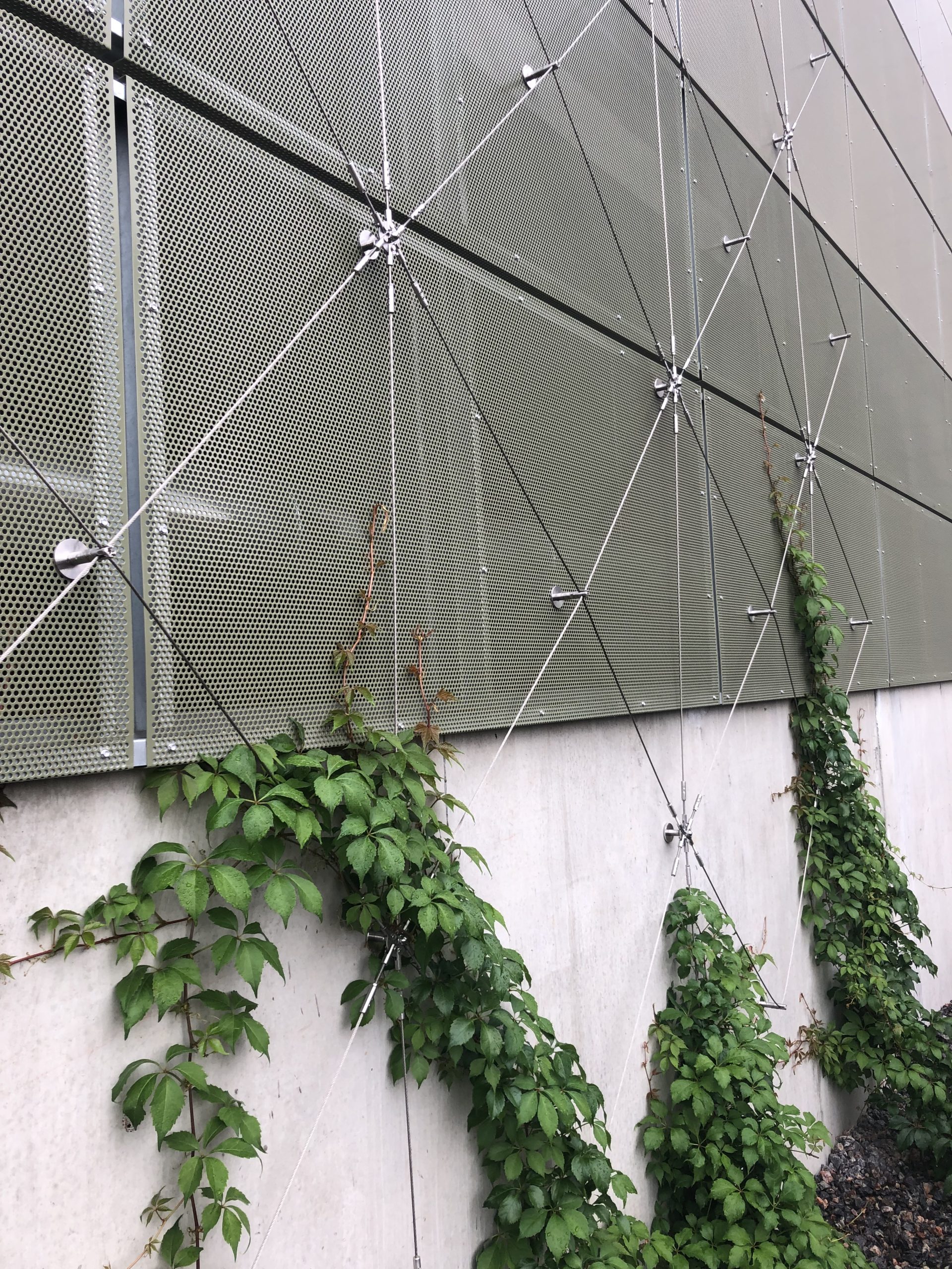 Greenwall system rosette 5 - Landscape Depot